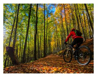 Trails - Pigeon River Country State Forest